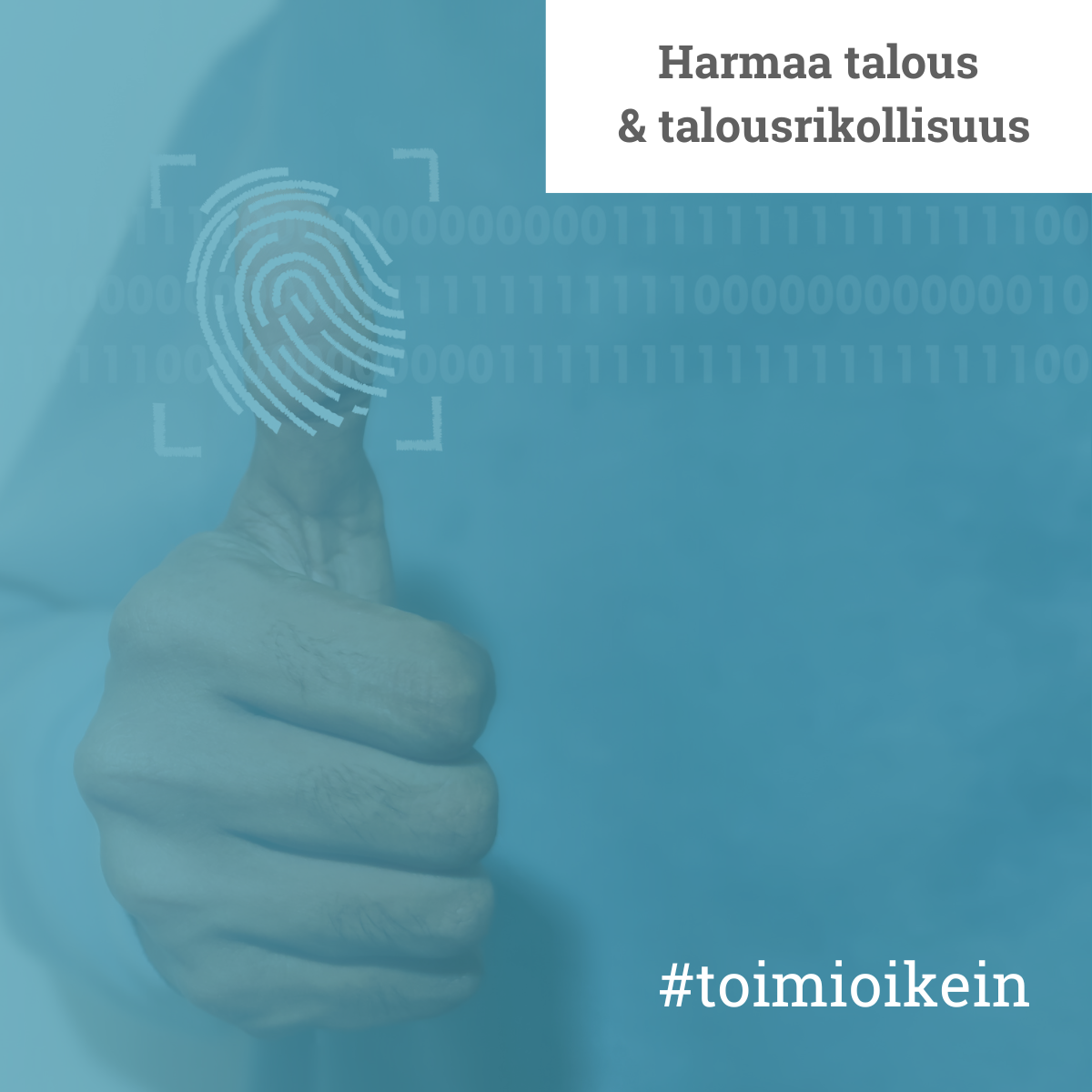 Toimi oikein - Harmaa talous & talousrikollisuus